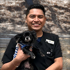 Luis, Lead Client Service Representative - Montrose Animal Hospital and ...